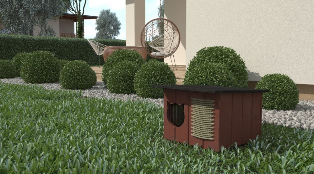 Zakaj vaša mačka potrebuje svojo lastno hišo? - Foxigy.si